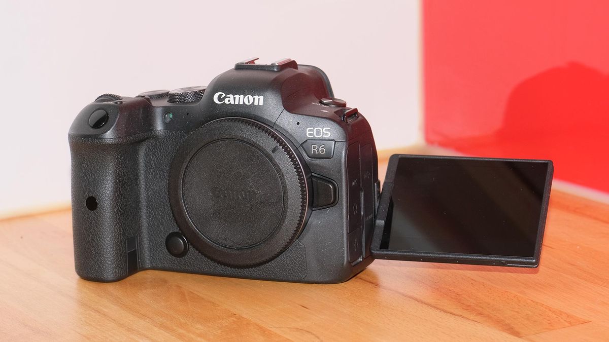 Canon EOS R6 review: A superb mirrorless camera that never misses a ...