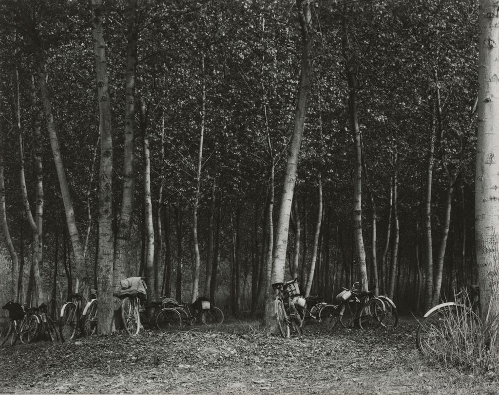 V&A puts on Paul Strand exhibition | Wallpaper*