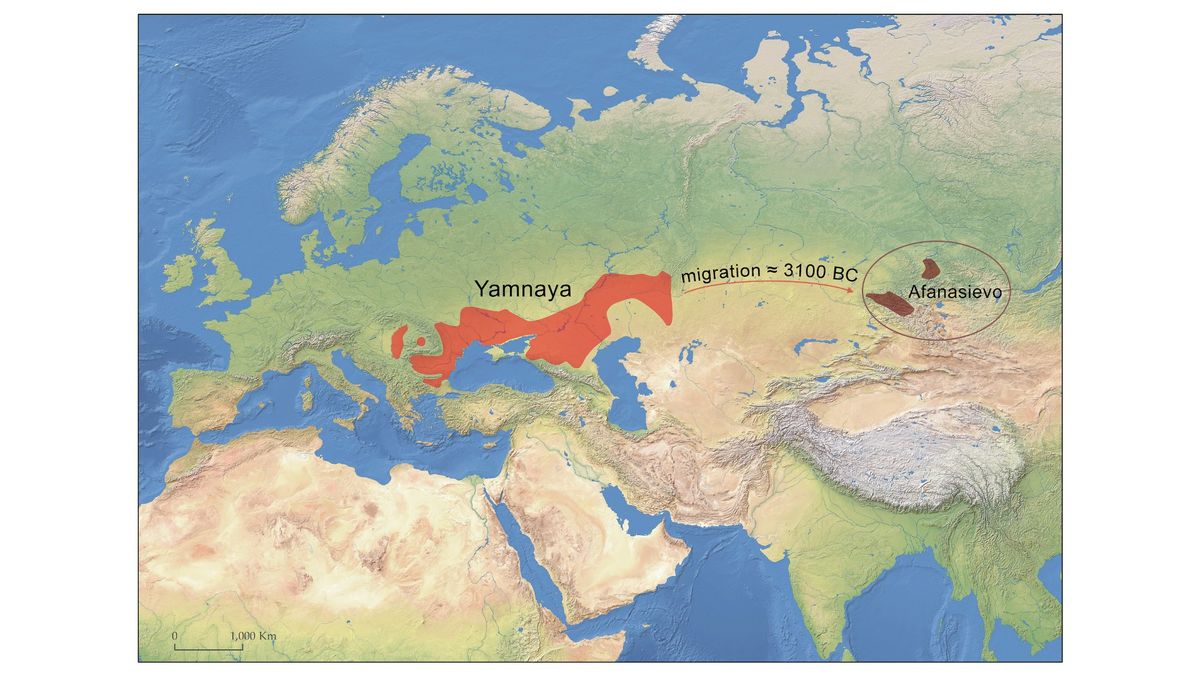 World's 1st horseback riders swept across Europe roughly 5,000 years ...