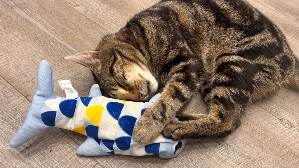 Best catnip toys we tried and tested – and are worth it! | PetsRadar