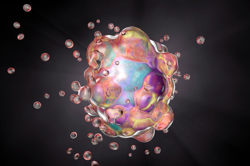 Scientists Calculate the Speed of Death in Cells, and It's Surprisingly ...