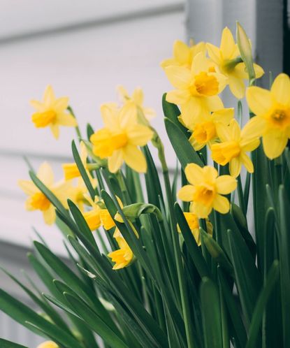 Spring photography tips to help you capture the beauty of the season ...