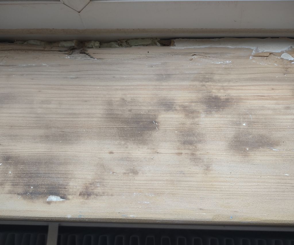 How to renovate a wooden window sill on a DIY basis | Homebuilding
