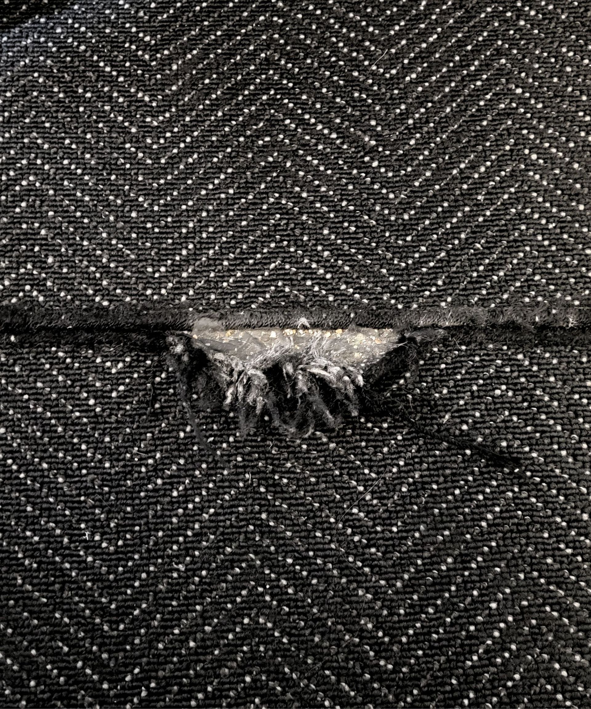 How to fix ripped carpet: 5 steps to restore its appearance | Homes and ...