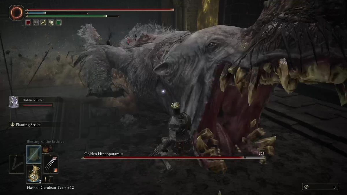 5 Shadow of the Erdtree tips you should know before playing | GamesRadar+