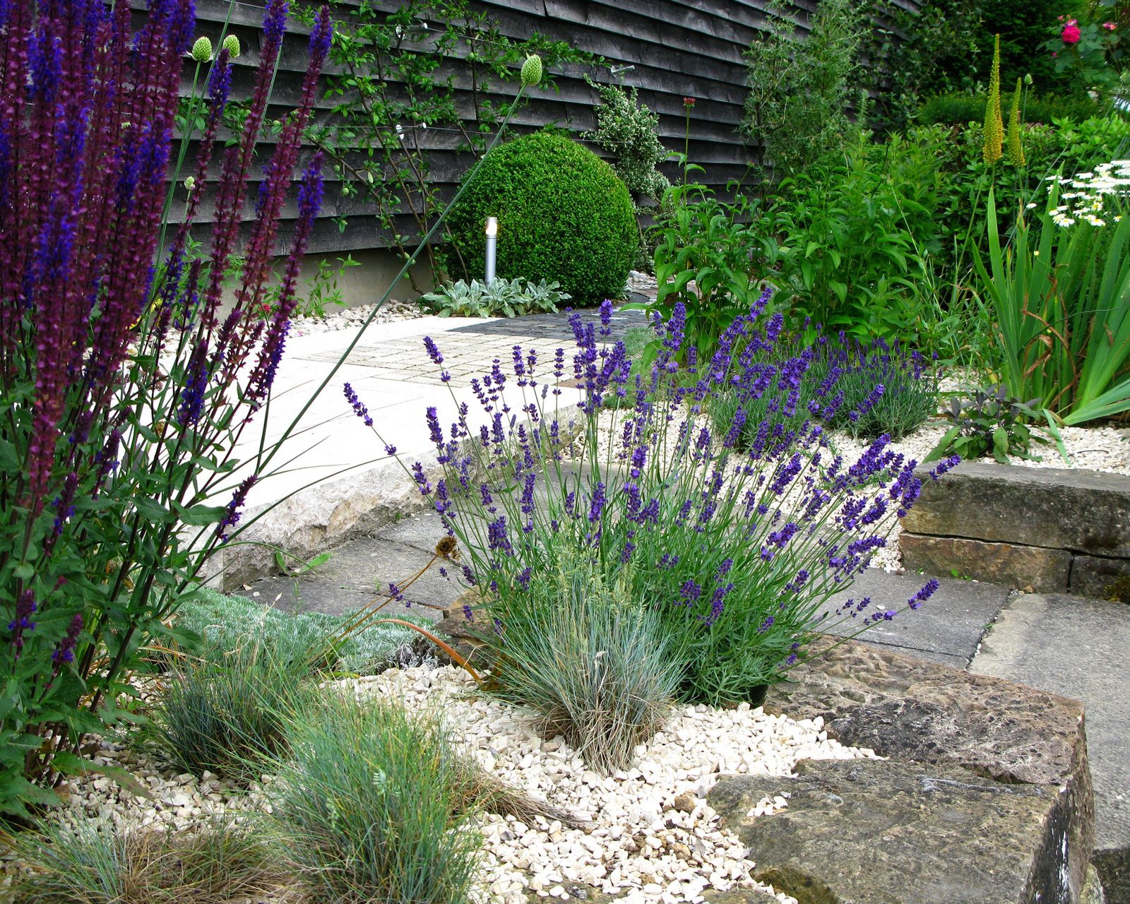 Best coastal plants: 21 top choices that will thrive near the ocean ...