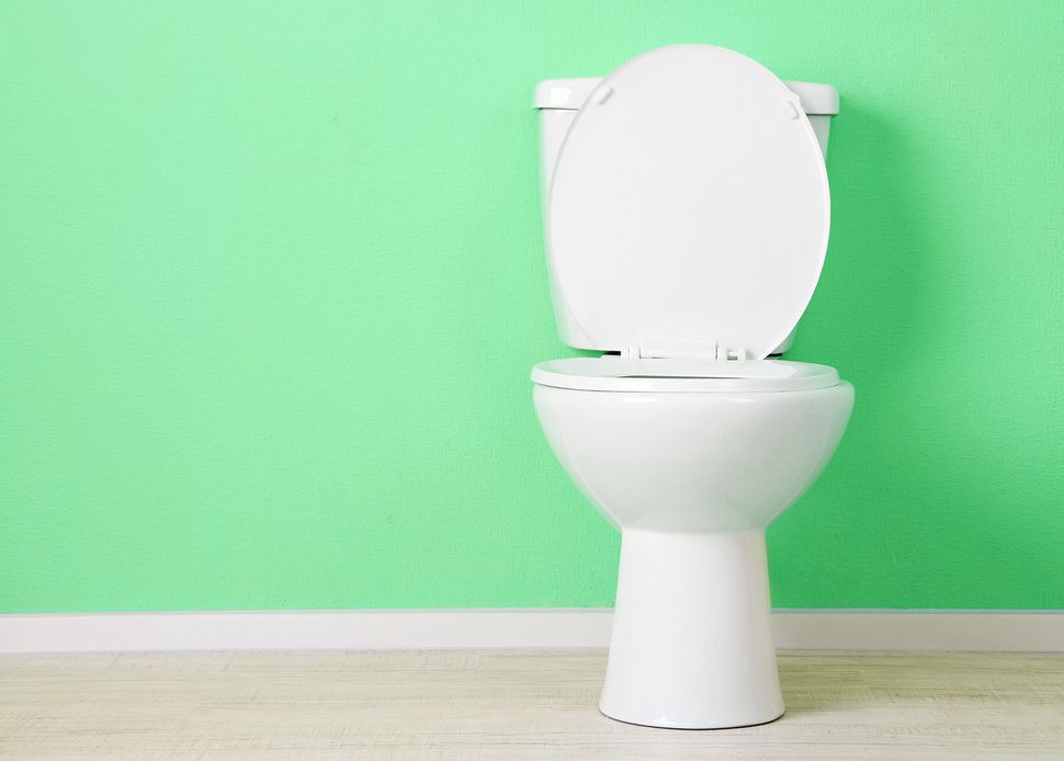 11 Surprising Uses For Pee and Poop | Live Science