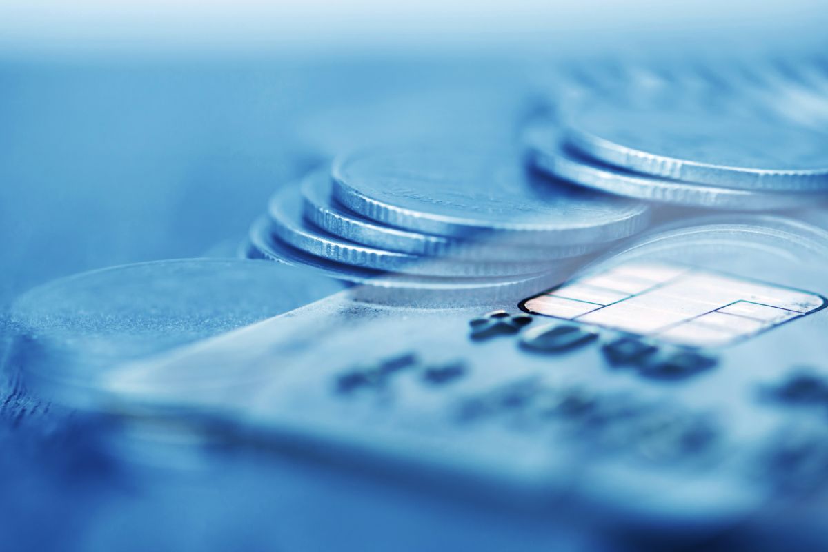 Stock photography - How to make money with your camera: earn cash with ...