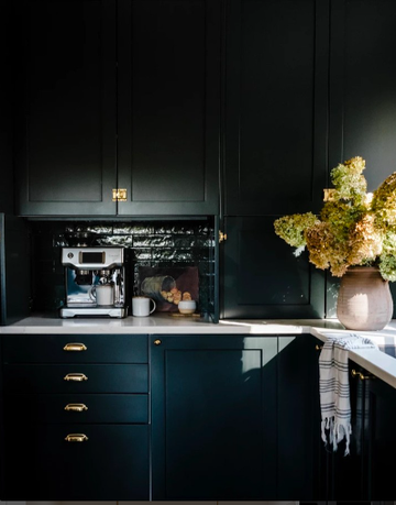 Benjamin Moore's Black Forest Green Paint: An Expert Guide | Livingetc