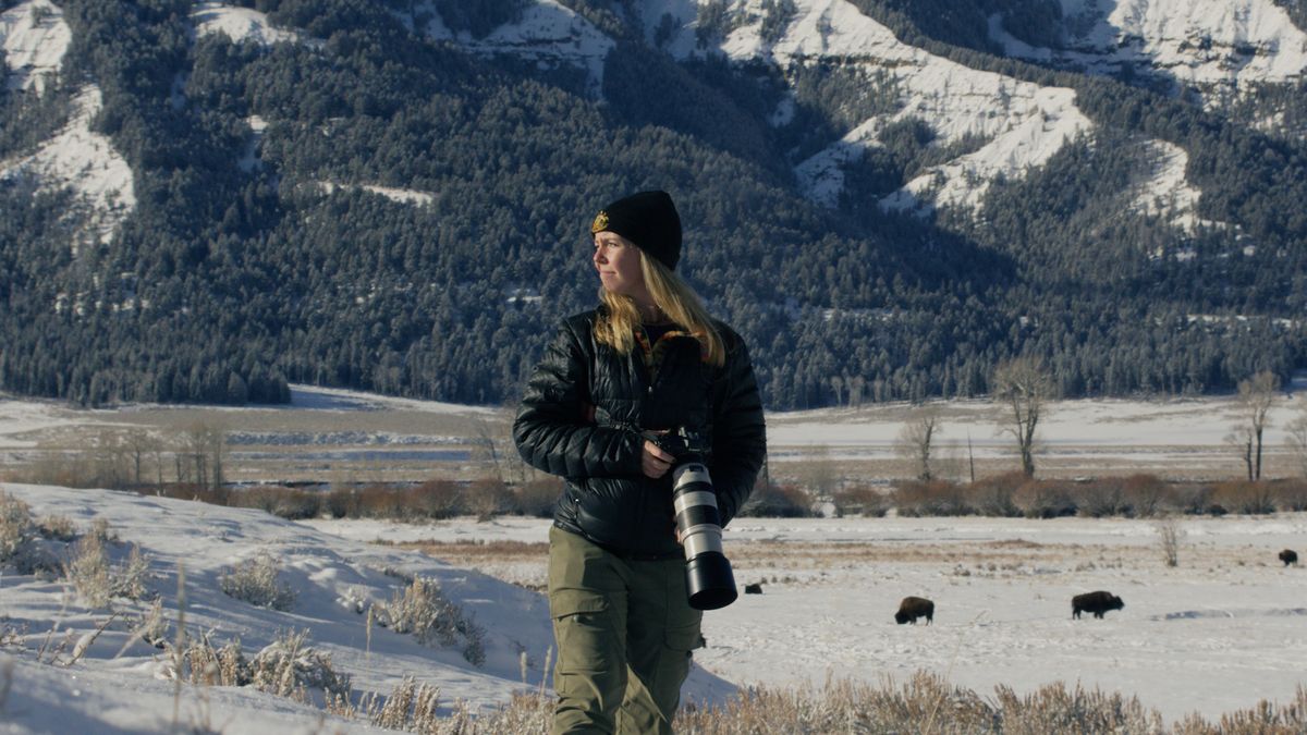 BBC Earth’s complete Wildlife Photography masterclass is now available ...
