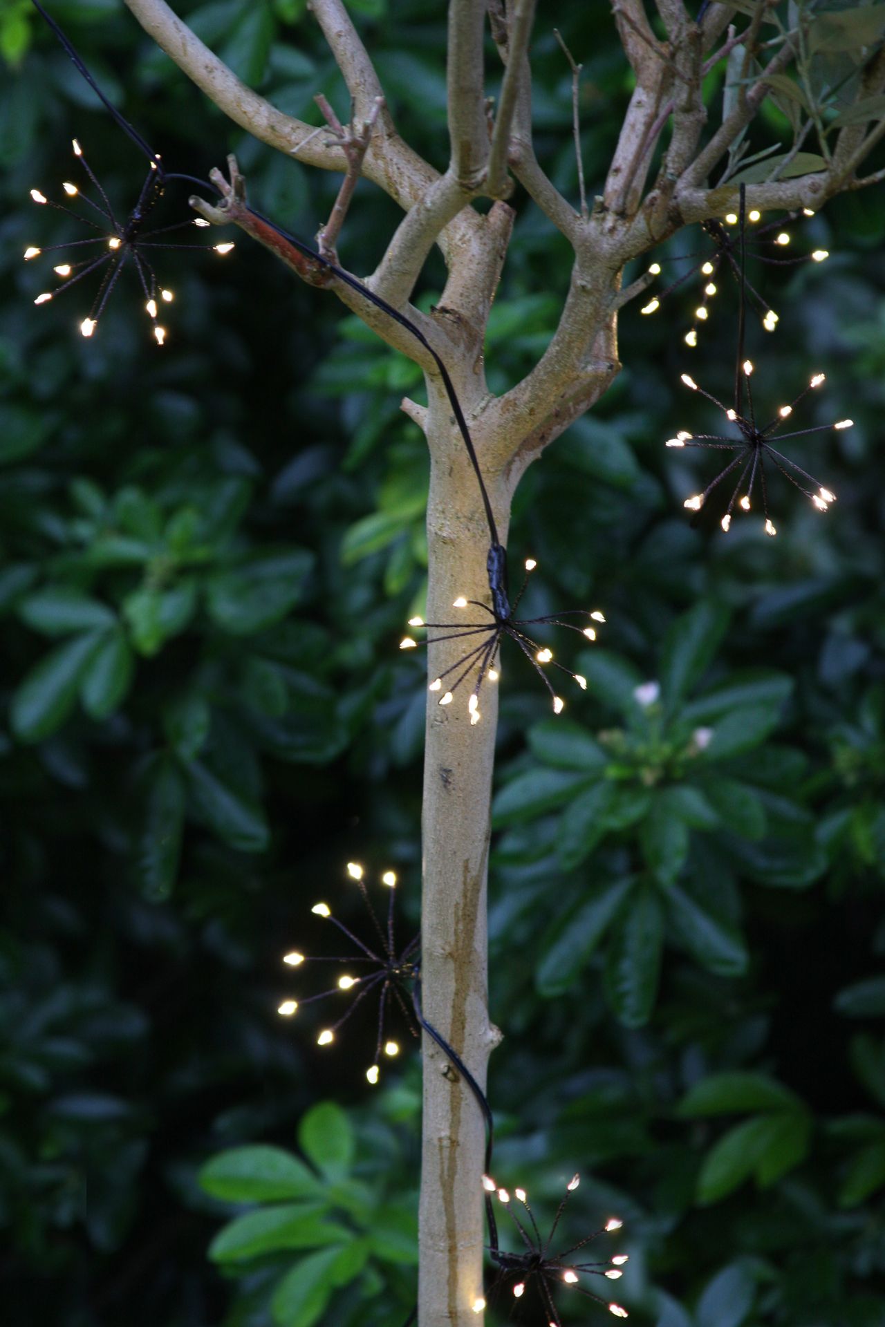 Outdoor string lighting ideas: 15 ways to light your yard | Homes and ...