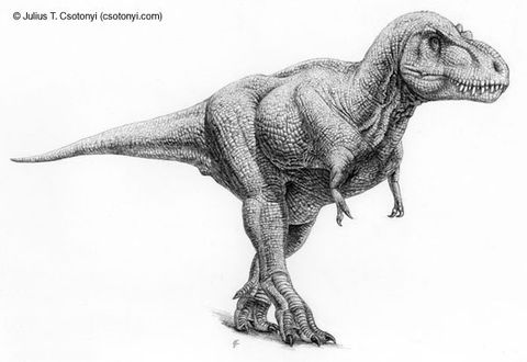 Did Mom or Dad Incubate Dinosaur Eggs? | Origin of Birds | Live Science