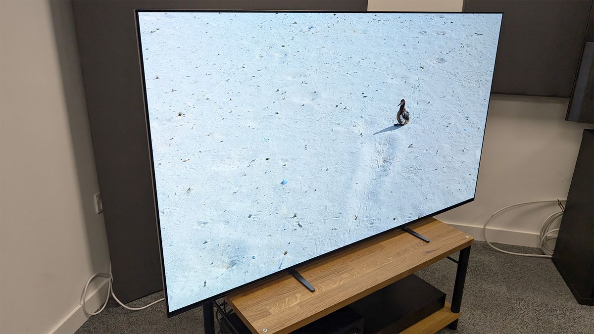Best OLED TV 2025: 4 top picks direct from our reviewers | What Hi-Fi?
