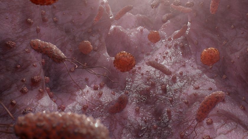 FDA approved a 1st-of-its-kind treatment made from human poop. What ...