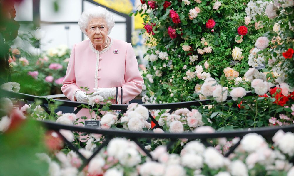 RHS Chelsea Flower Show: everything you need to know | Homes and Gardens