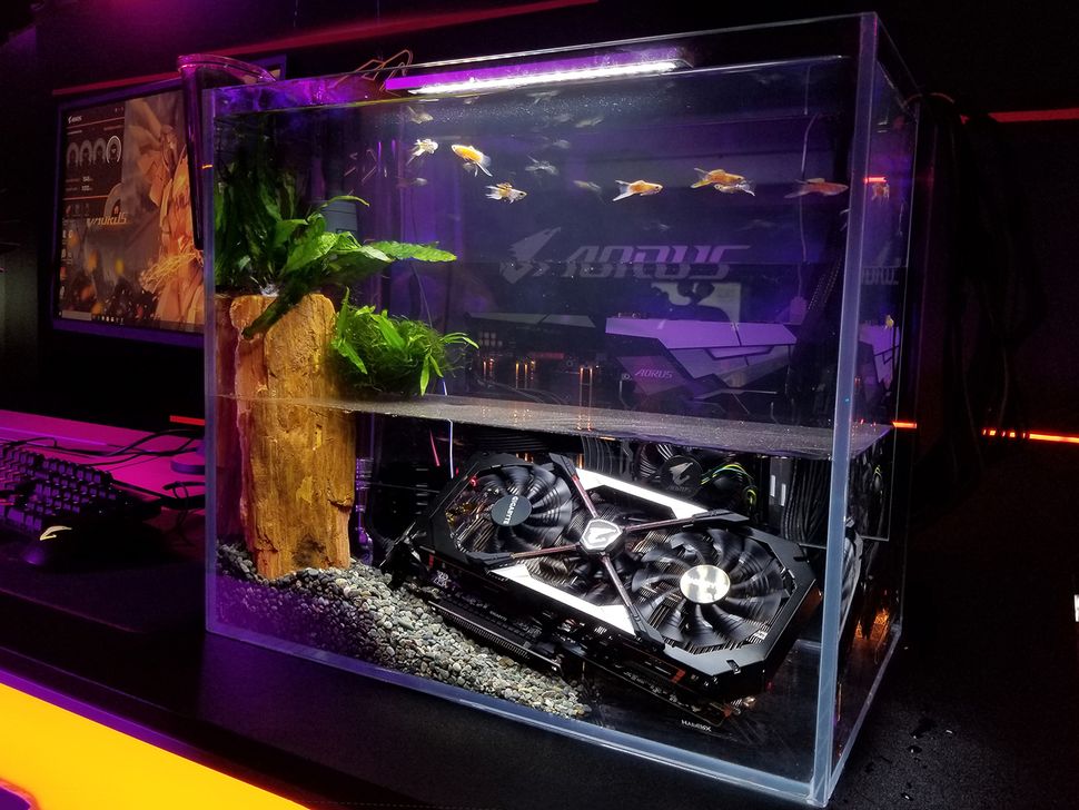 Gigabyte’s Custom PC Houses Fish Above a Submerged System | Tom's Hardware
