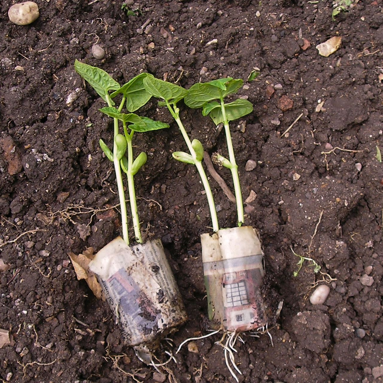 Topsoil vs compost - experts explain the key differences | Ideal Home