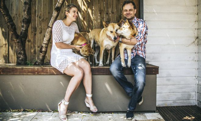 Life with a pet dingo | The Week