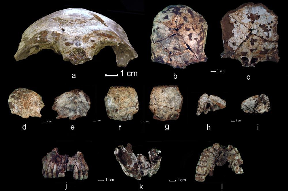 Cave of the Monkeys: Photos Reveal Early Modern Human Remains | Live ...
