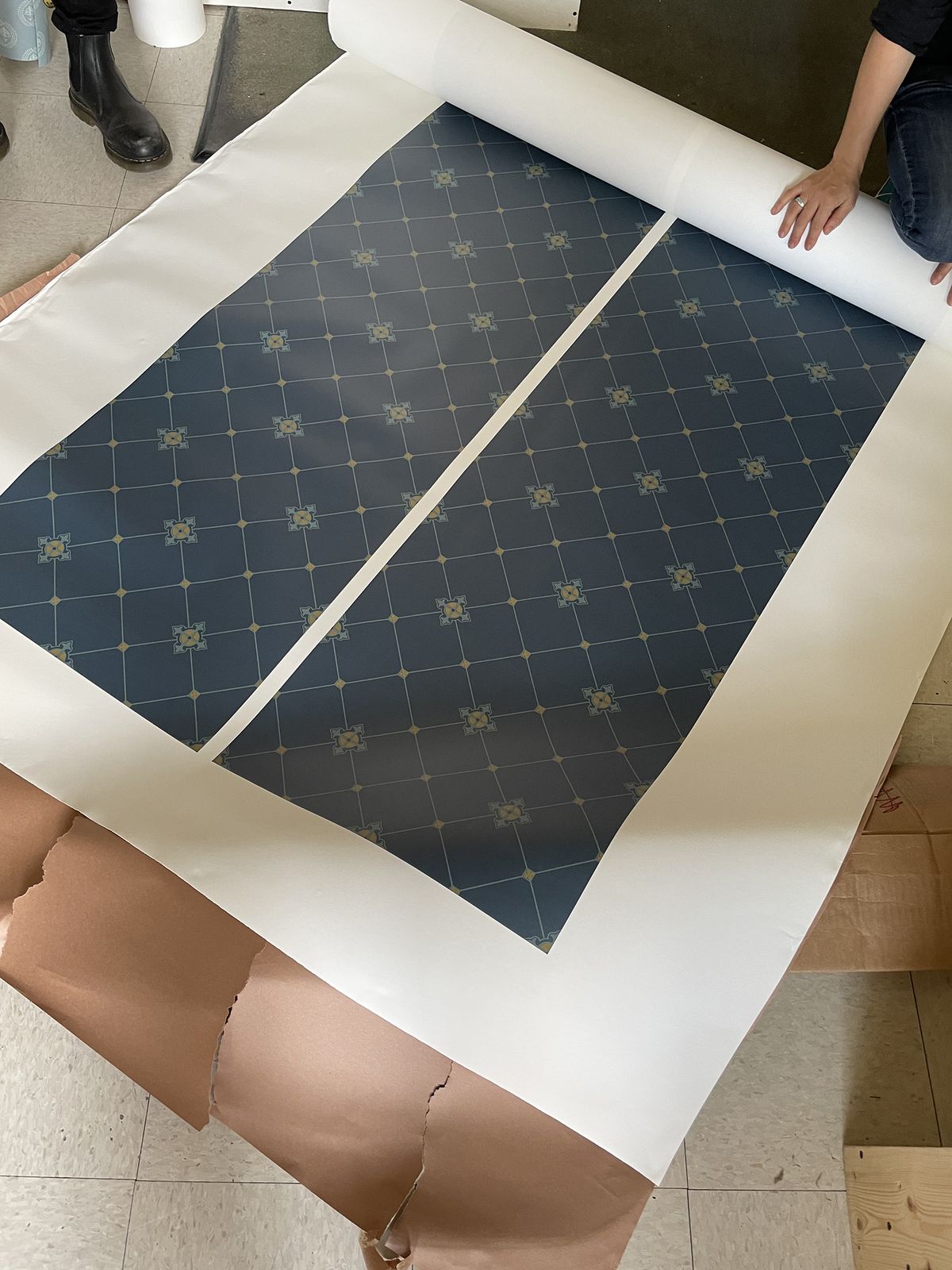 "A weird, wonderful and demanding job": How Gina Alessi made the ...