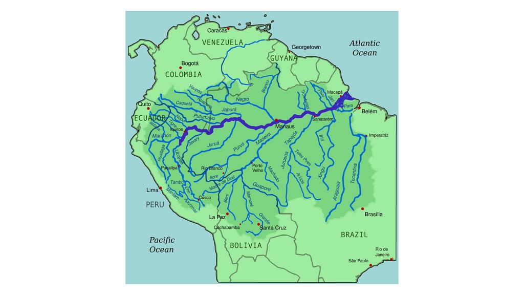 Why are there no bridges over the Amazon River? | Live Science