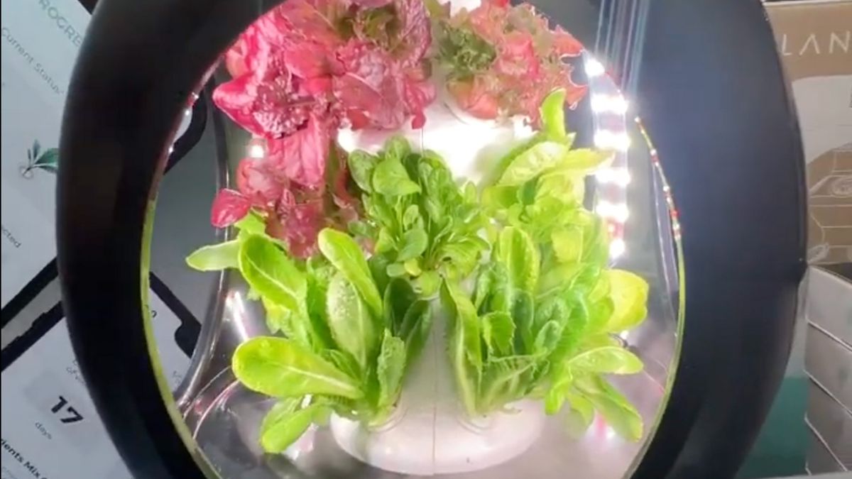 I can't wait to try out these 3 great plant tech gadgets that I saw at ...