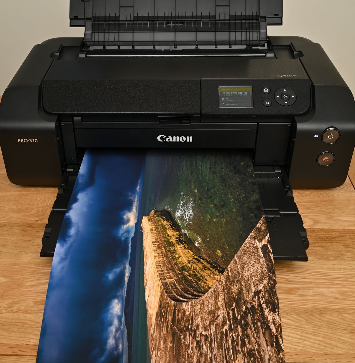Canon imagePROGRAF PRO-310 review: it’s got a tough act to follow ...