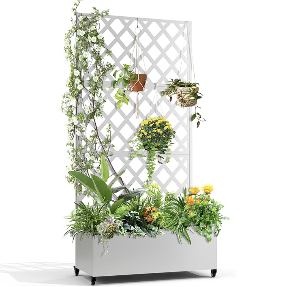 How to create a moon garden with expert plant suggestions | Homes and ...