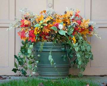 How to plant a winter container: a step by step guide for perfect ...