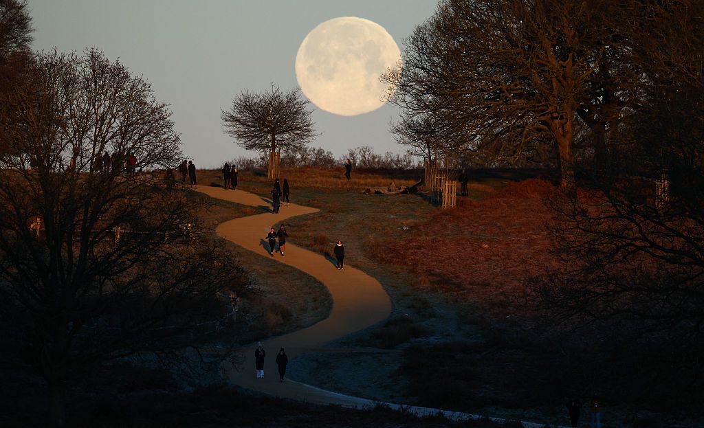 'Wolf Supermoon' gallery: See the first full moon of 2026 in pictures ...