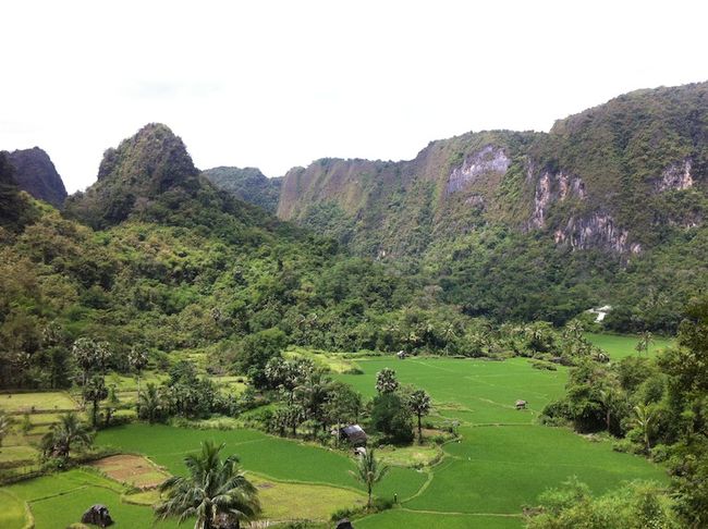 In photos: The world's oldest cave art | Live Science