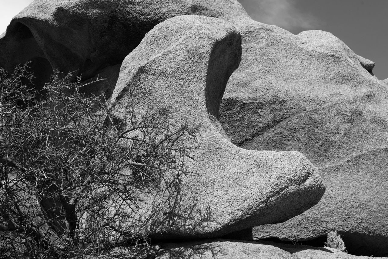 Stuart Franklin retraces the photography of George Rodger | Wallpaper*