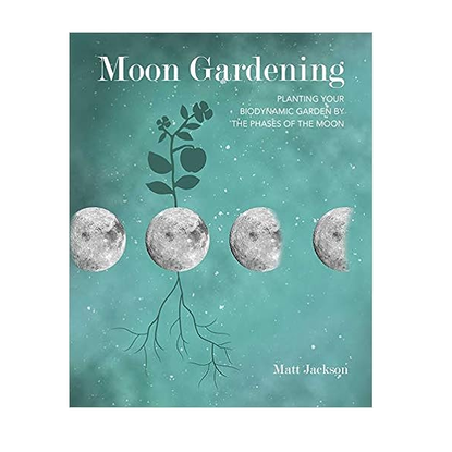 What is planting by the moon? Gardening experts explain | Livingetc