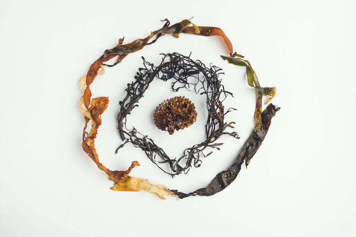 How to shoot a flat lay featuring ingredients from nature | Digital ...