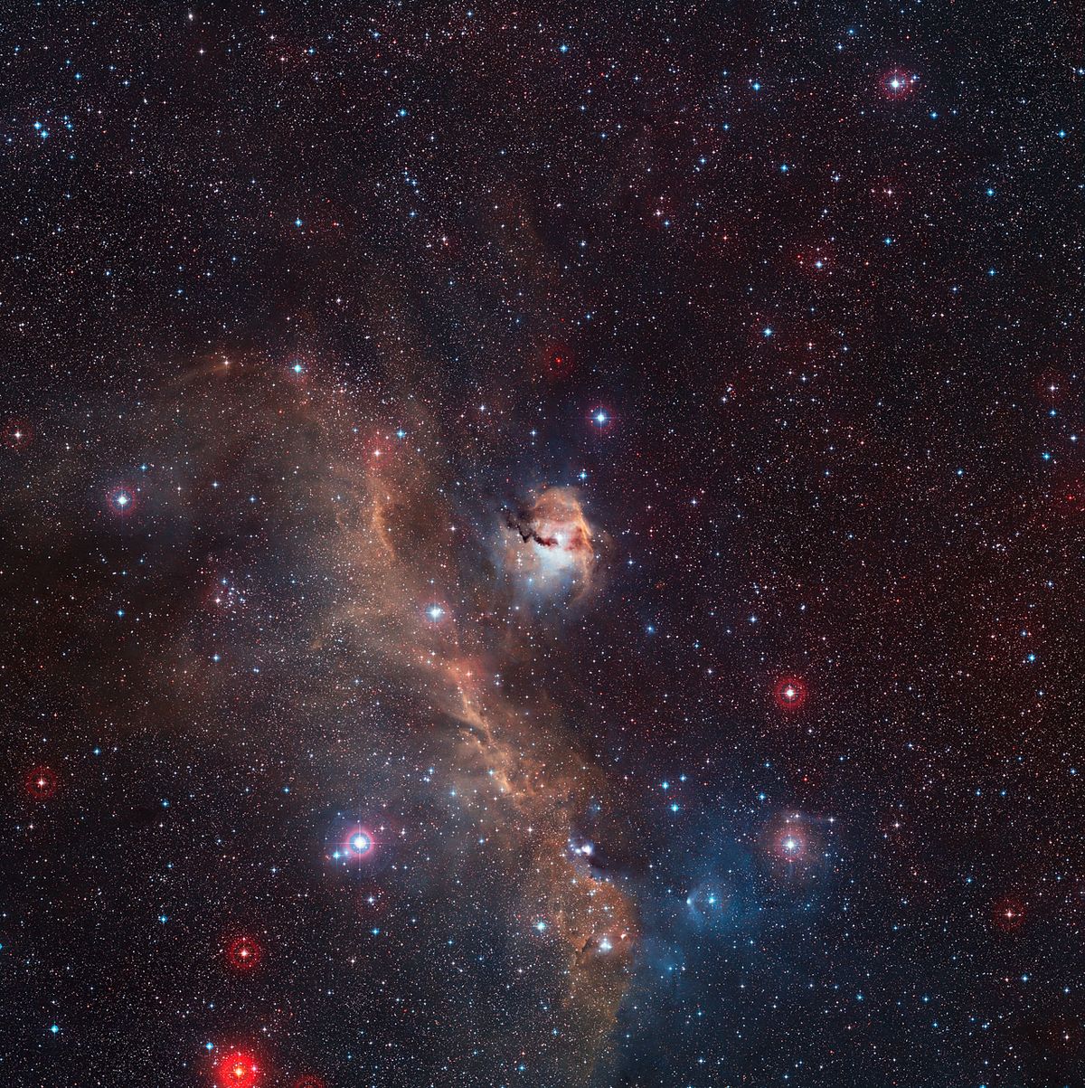 Seagull Nebula Spreads Cosmic Wings in Amazing Photos | Space