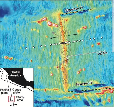 Rare View Reveals How Earth's Crust Forms | Live Science