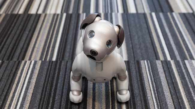 Sony Aibo Review: What It’s Like To Live With a $2,900 Robot Dog | Tom ...