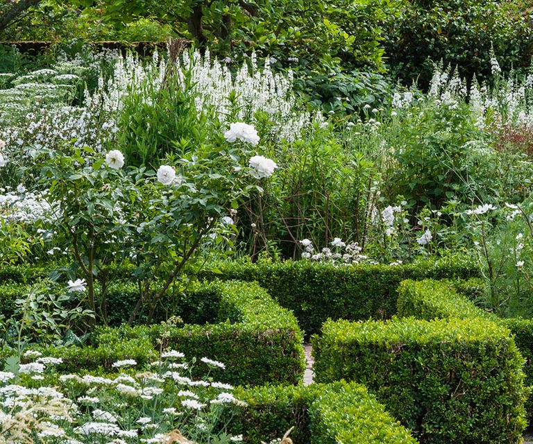 Beautiful white flowers: 12 elegant choices | Homes and Gardens