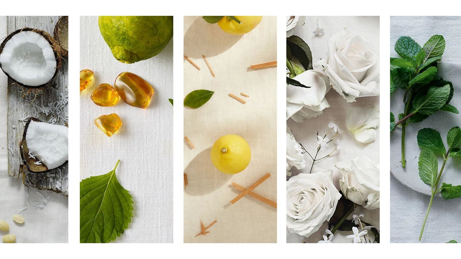 These are the best White Company scents to fragrance homes | Woman & Home