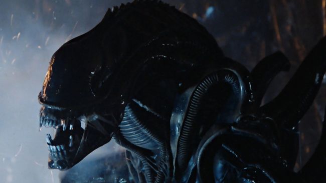 Alien: The Xenomorph life cycle explained | Space