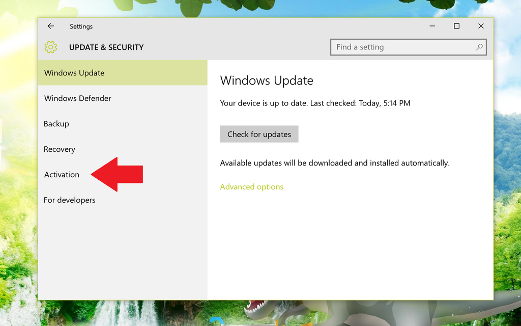How to easily upgrade from Windows 10 Home to Windows 10 Pro | Windows ...
