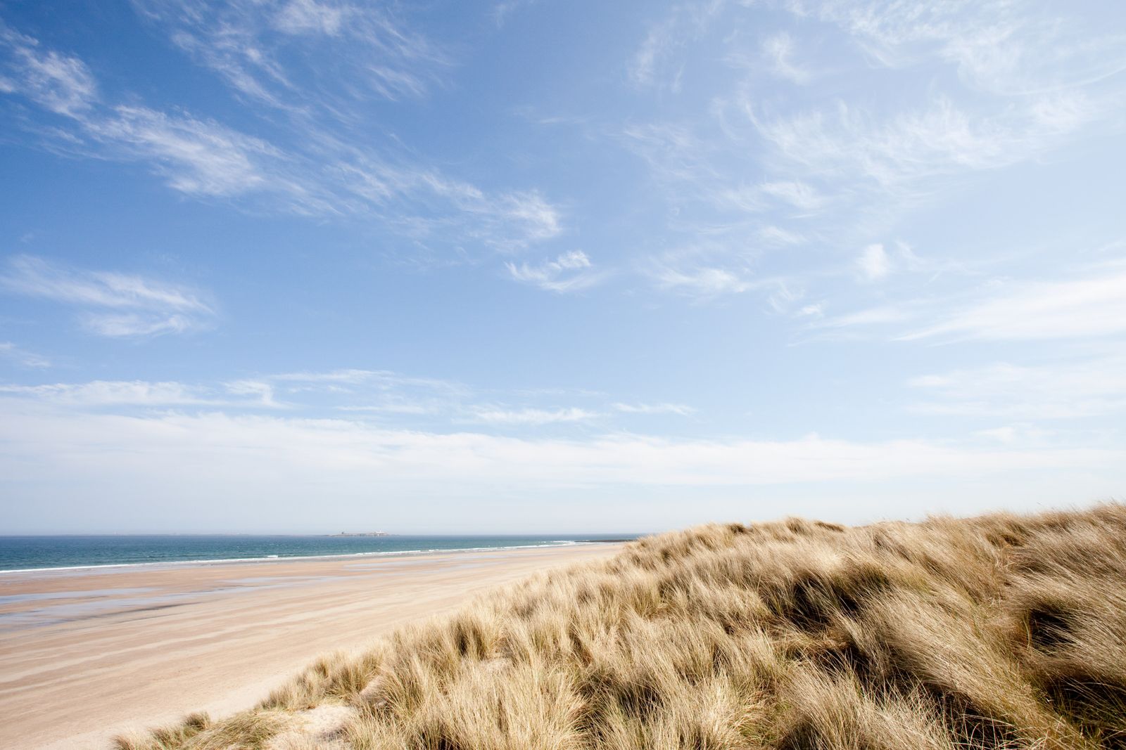 The Country Life guide to Suffolk: Where to go, what to see, where to ...
