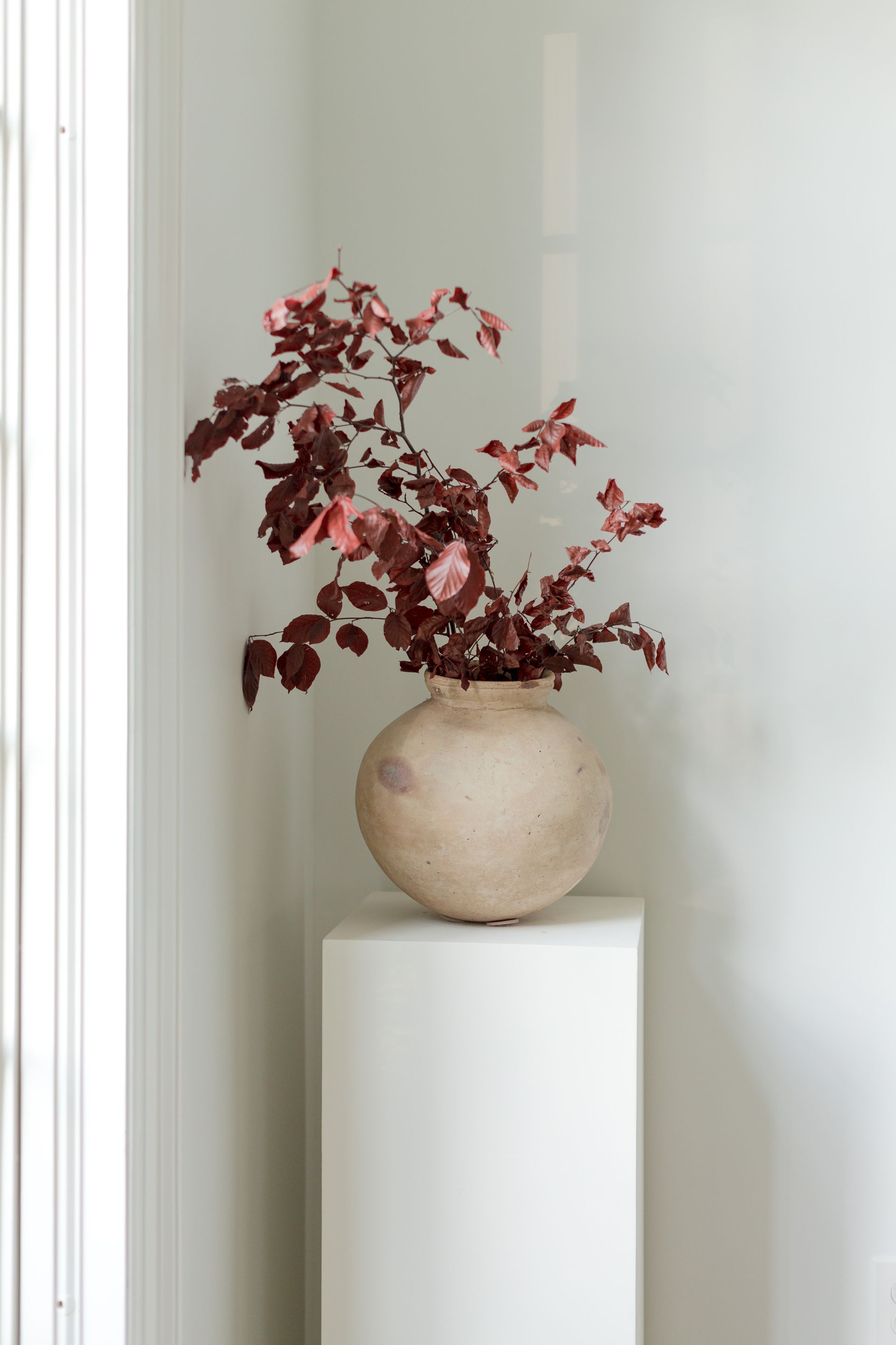 How to keep cut branches fresher for longer inside your home | Livingetc