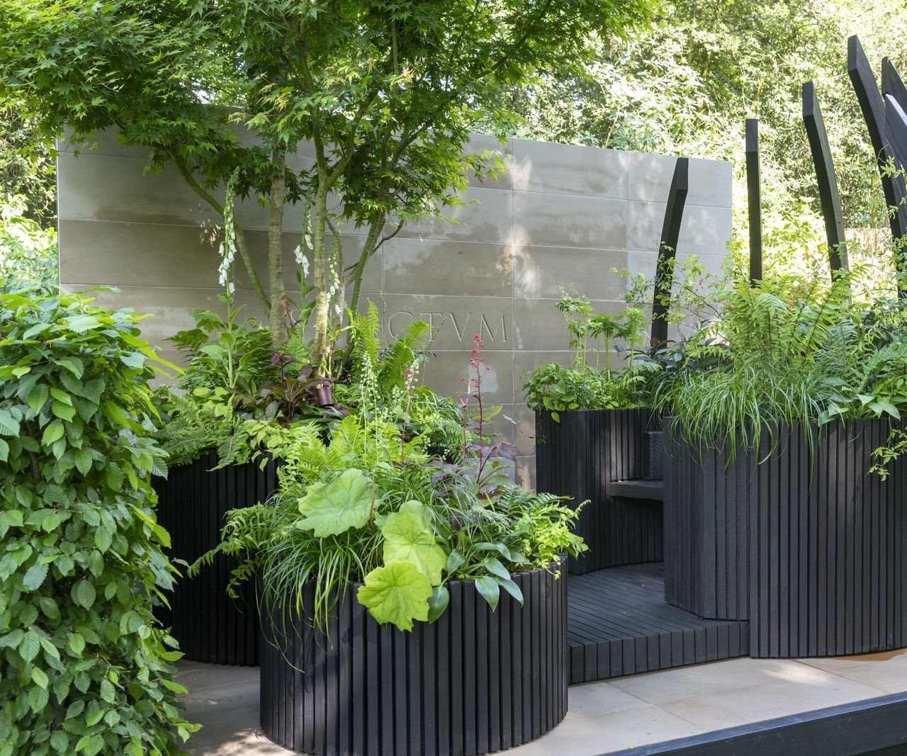 New plant varieties from US plant breeders unveiled | Homes and Gardens