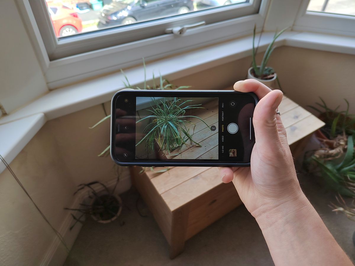 Moment Tele 58mm M-Series lens review | Digital Camera World