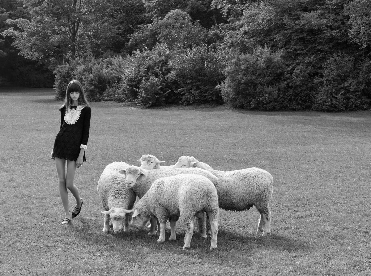 Watch Hedi Slimane’s 1960s-inspired Summer 2025 Celine film | Wallpaper*
