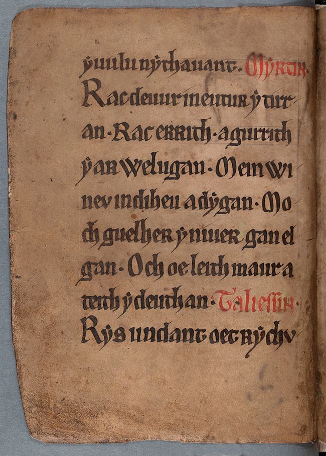 In Photos: Medieval Manuscript Reveals Ghostly Faces | Live Science