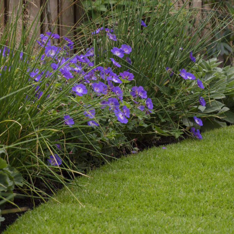 How to improve lawn drainage –⁠ 8 ways to protect your grass | Ideal Home