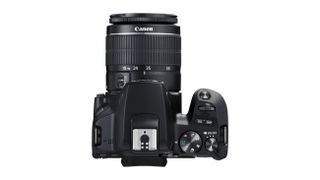 The best camera for beginners in 2020 | Creative Bloq