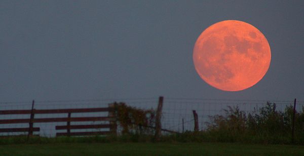 Why Is the Harvest Moon Big and Red? | Space